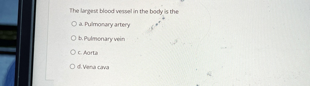 The largest blood vessel in the body is the Oa. Pulmonary artery Ob. Pulmonary vein Oc. Aorta Od ...