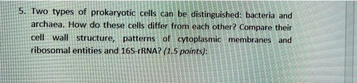 SOLVED: Two types of prokaryotic cells can be distinguished: bacteria ...