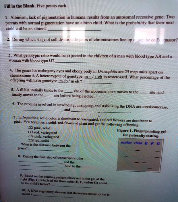 SOLVED: Fill in the Blank. Five points each_ Albinism, lack of ...