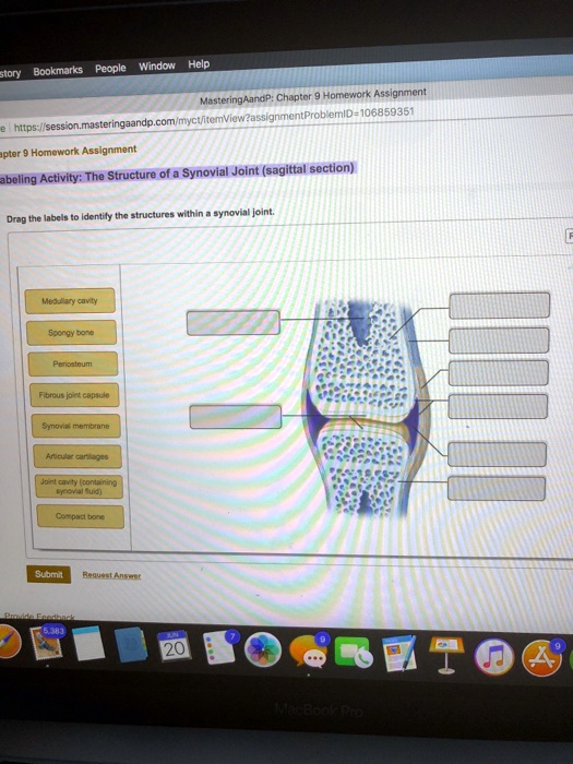 story Bookmarks People Window Help MasteringAandP: Chapter 9 Homework Assignment e https ...