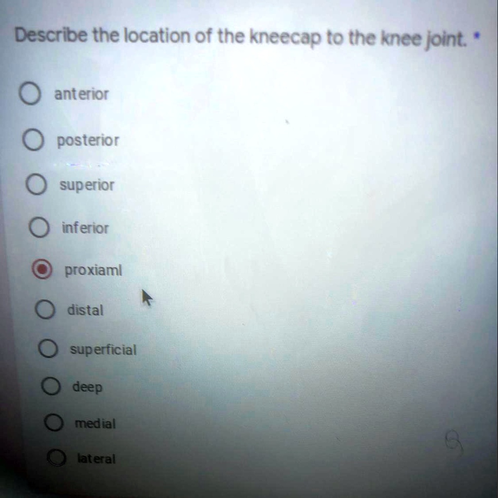 describe the location of the kneecap to the knee joint describe the ...