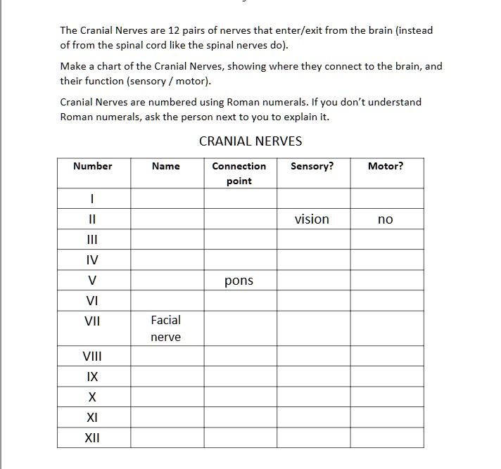 The Cranial Nerves are 12 pairs of nerves that enter/exit from the ...