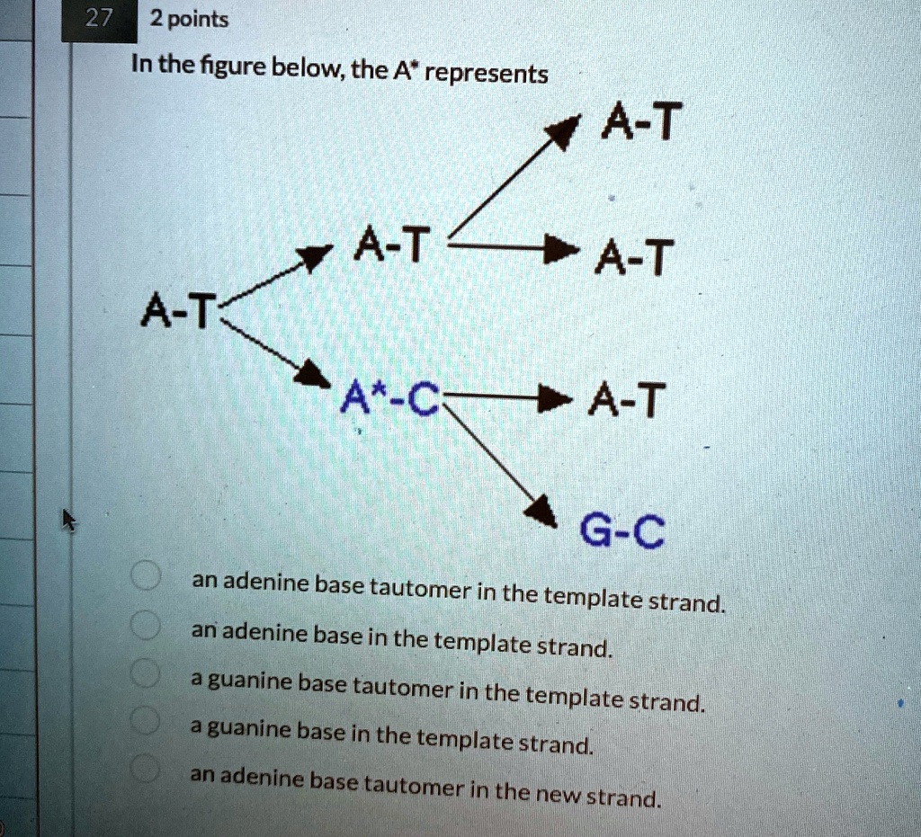 27 2 points In the figure below, the A* represents A-T A-T A-T A*-C A-T ...