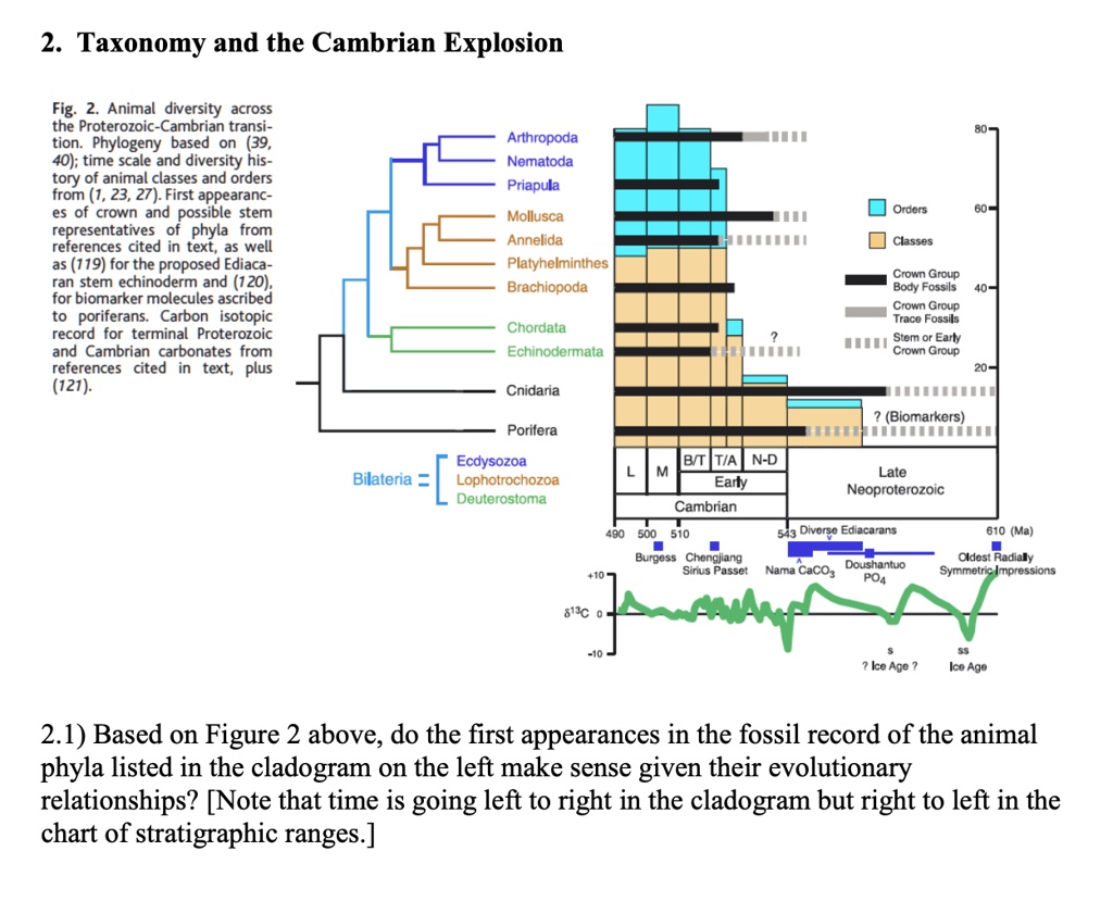 SOLVED: Taxonomy and the Cambrian Explosion Fig: Animal diversity ...