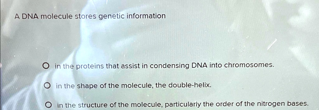 A DNA molecule stores genetic information ? in the proteins that assist ...