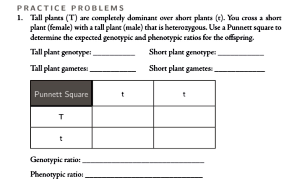 SOLVED: Practice Problems 1. Tall plants (T) are completely dominant ...