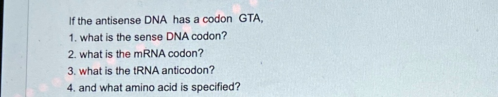 SOLVED: 'If the antisense DNA has a codon GTA what is the sense DNA ...