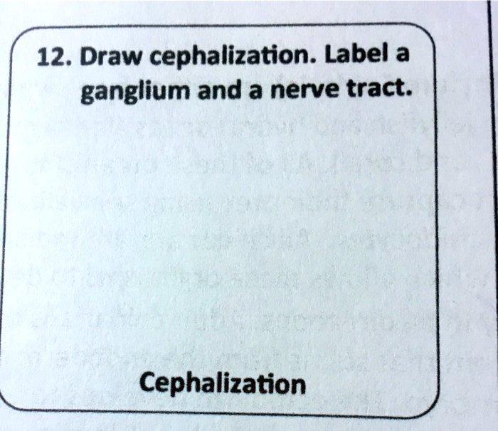SOLVED: 12. Draw cephalization. Label a ganglium and a nerve tract ...