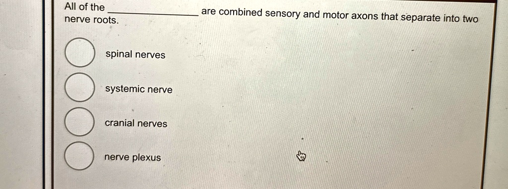 All of the are combined sensory and motor axons that separate into two spineal nerves systemic ...