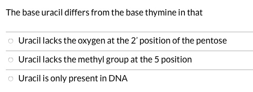 SOLVED: The base uracil differs from the base thymine in that Uracil ...