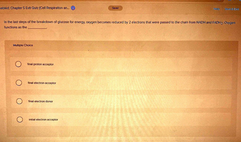 mabled chapter 5 exit quiz cell respiration an saved help save exit in ... mabled chapter 5 exit quiz cell respiration an saved help save exit in ...