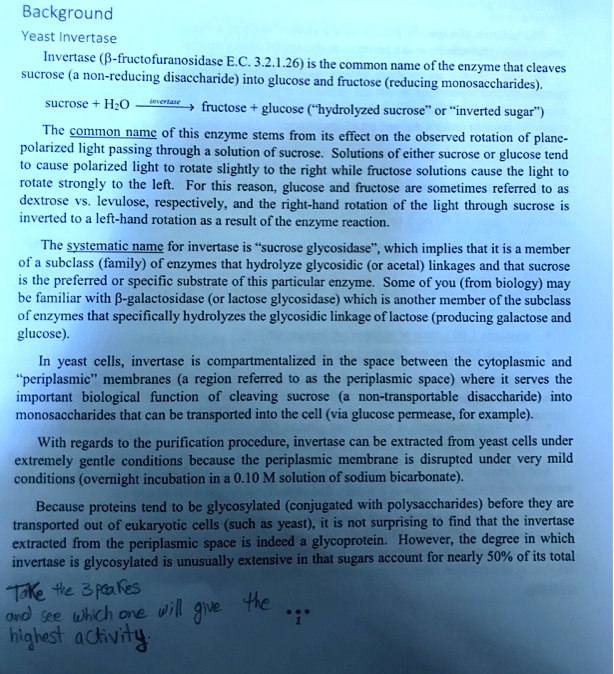 Background yeast invertase invertase fructofuranosidase ec...
