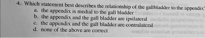 SOLVED: 4. Which statement best describes the relationship of the ...
