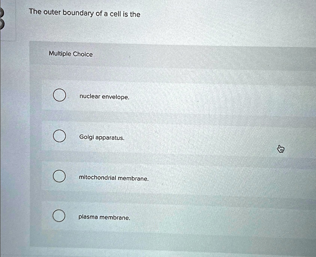 The outer boundary of a cell is the Multiple Choice nuclear envelope ...