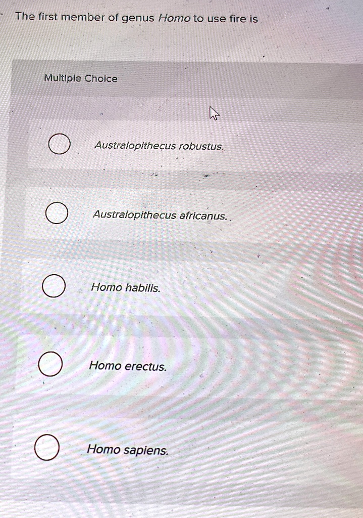 the first member of genus homo to use fire is multiple choice ...