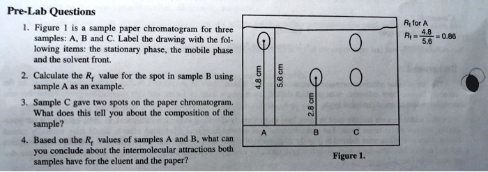 Pre-Lab Questions 1. Figure 1 is a sample paper chromatogram for three ...