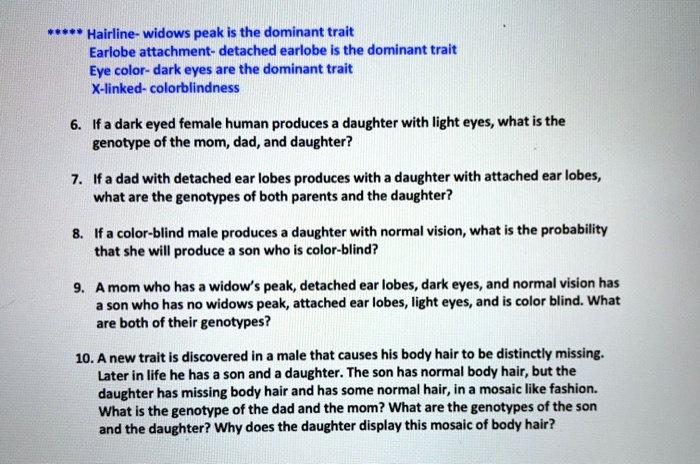 SOLVED: Hairline widow's peak is the dominant trait. Earlobe attachment ...