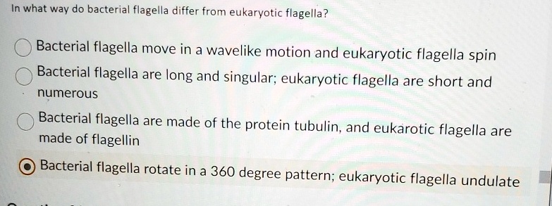 In what way do bacterial flagella differ from eukaryotic flagella ...