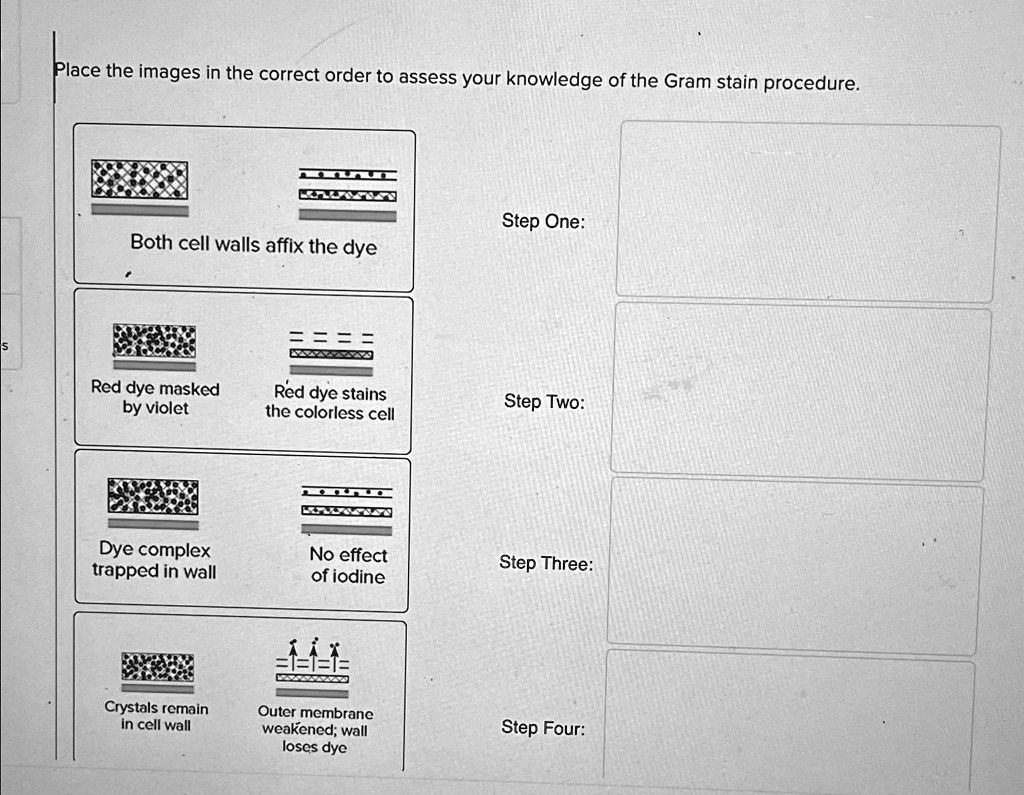 Place the images in the correct order to assess your knowledge of the ...