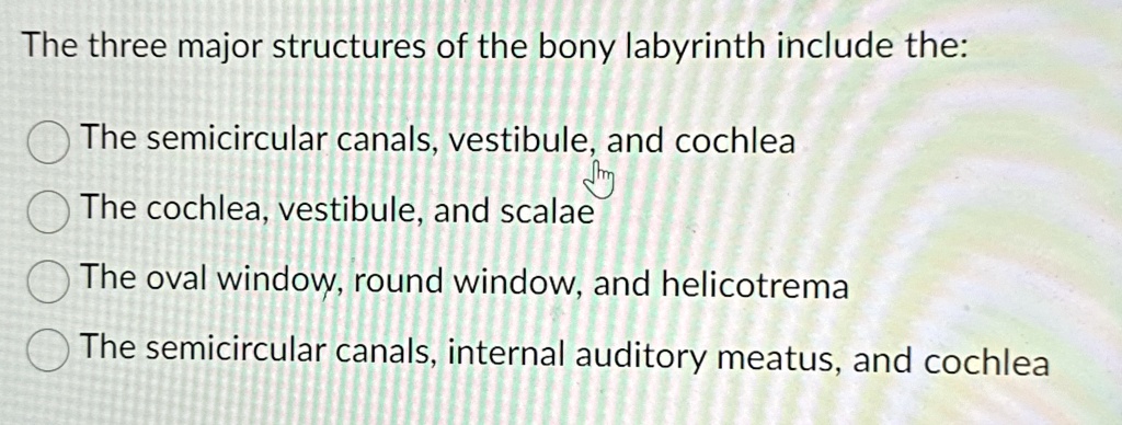 The three major structures of the bony labyrinth include the: The ...