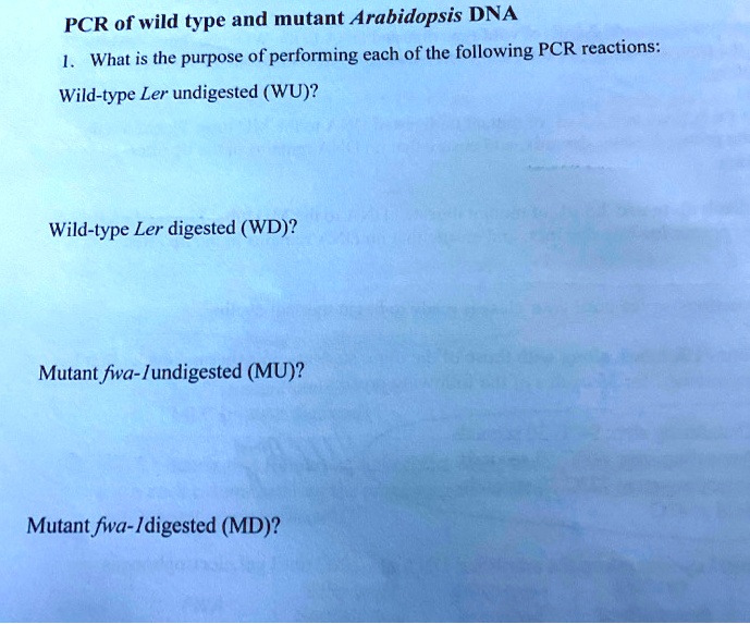 pcr of wild type and mutant arabidopsis dna what is the purpose of ...