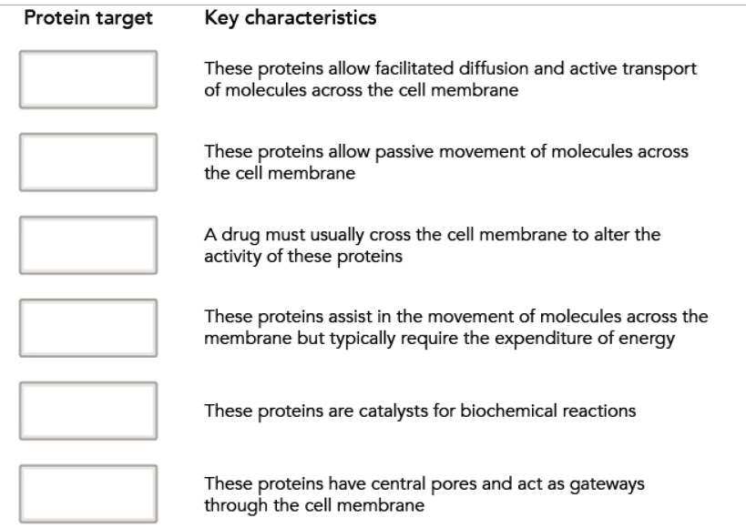 SOLVED: Protein target Key characteristics These proteins allow ...