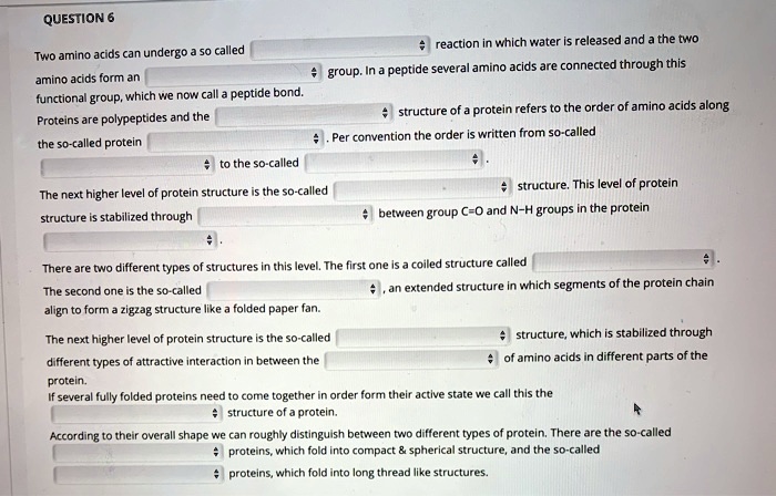 SOLVED: QUESTION reaclion which water eleased and peptide severa amino acids are connected ...