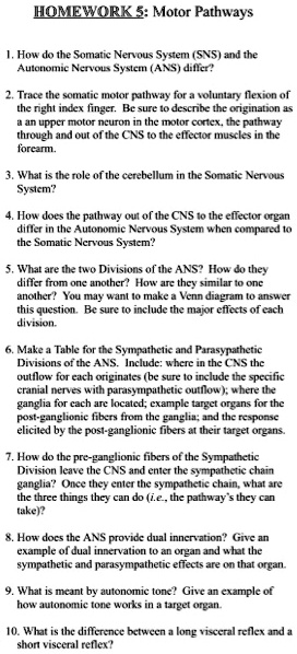 HOMEWORK 5: Motor Pathways 1. How do the Somatic Nervous System (SNS ...