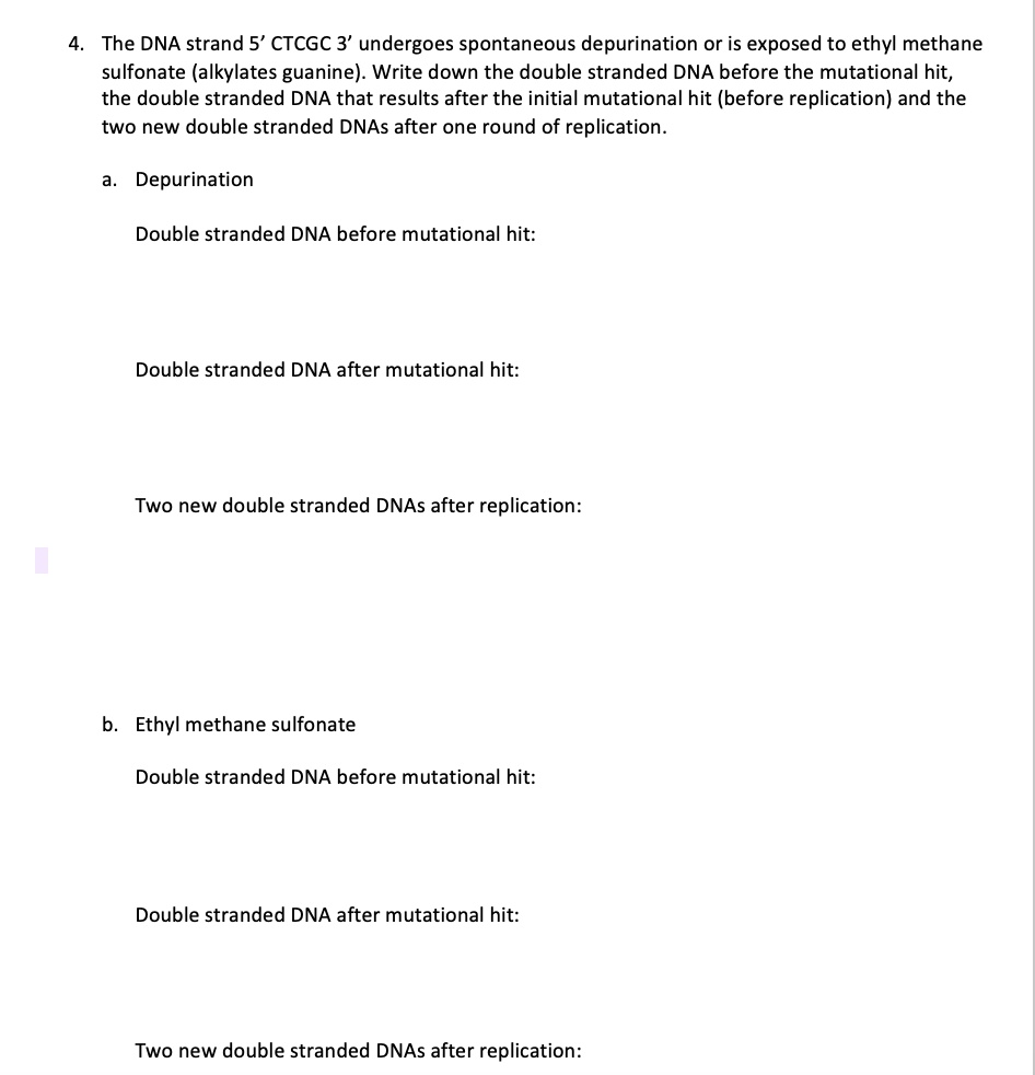 the dna strand 5 ctcgc 3 undergoes spontaneous depurination or is exposed to ethyl methane ...