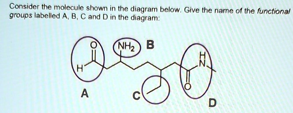 Consider the molecule shown in the diagram below. Give the name of the ...