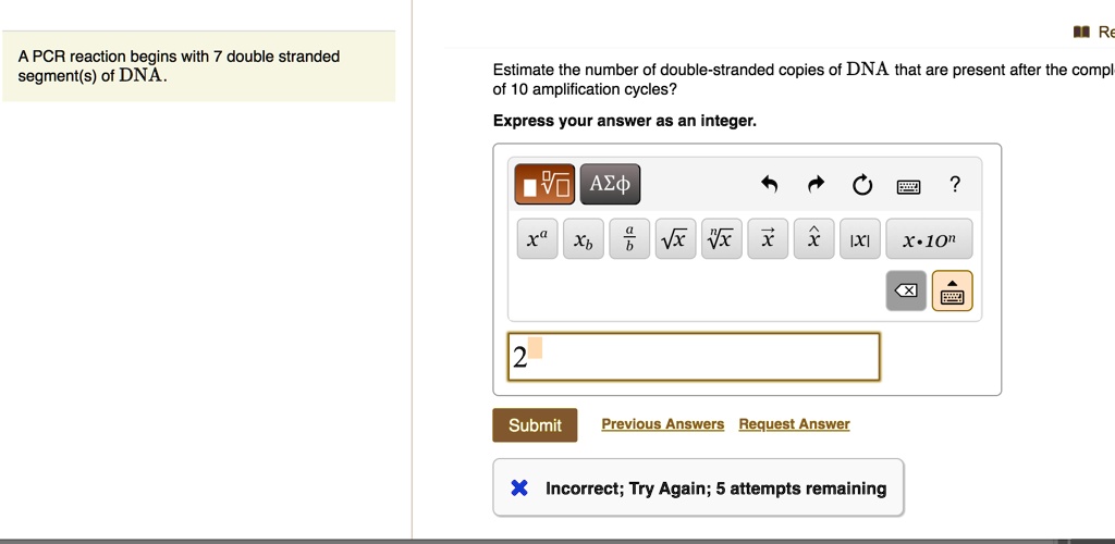A PCR reaction begins with double-stranded segment(s) of DNA. Estimate the number of double ...