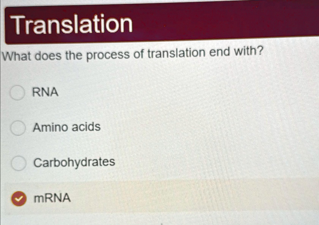 Translation What does the process of translation end with? RNA Amino ...