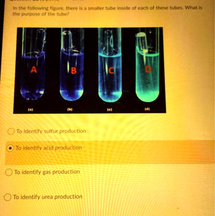 SOLVED: In the following figure; there is smaller tube inside of each ...