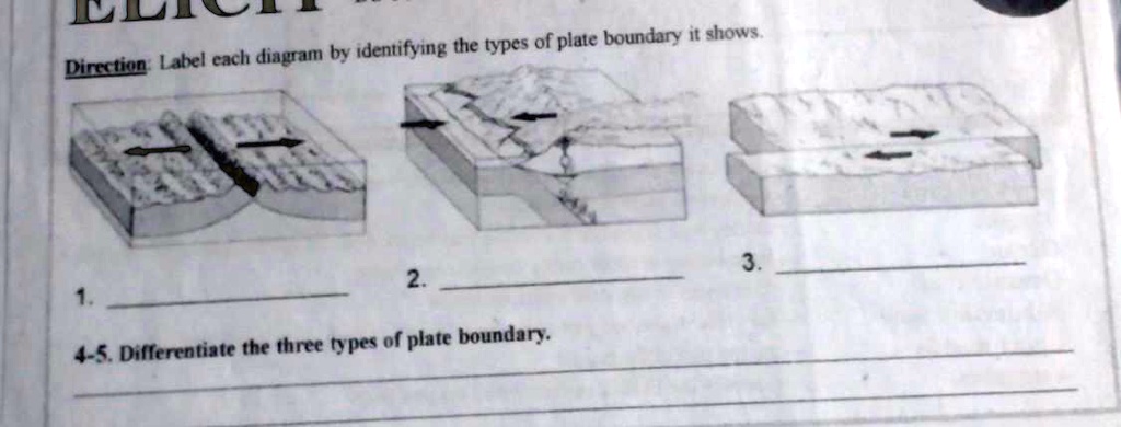 Direction: Label each diagram by identifying the types of plate ...