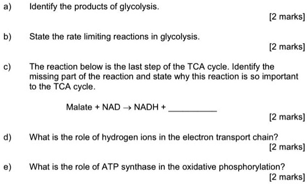 a) Identify the products of glycolysis. [2 marks] b) State the rate ...