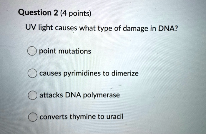 SOLVED: Question 2 (4 points) UV light causes what type of damage in ...