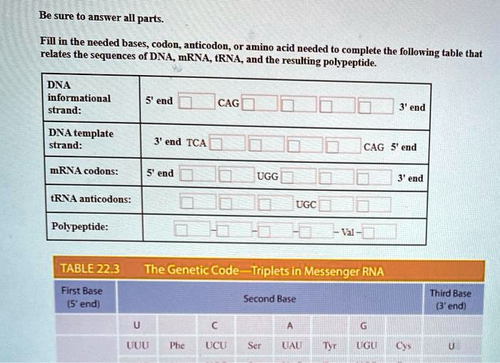 SOLVED: Be sure to answrer all parts. Fill in the needed bases; codon ...