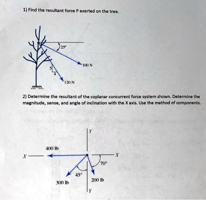 SOLVED: 1) Find the resultant force P exerted on the tree. I(N) IZON 2) Determine the resultant ...