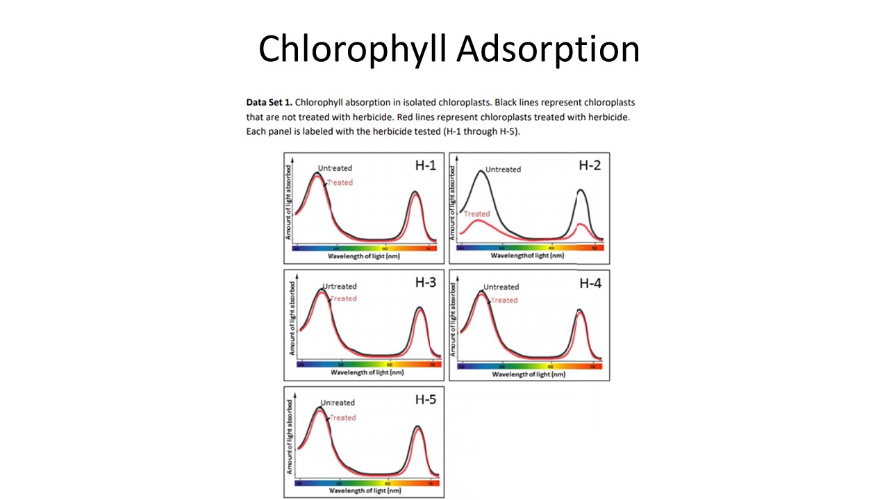 Chlorophyll Adsorption Data Set 1. Chlorophyll absorption in isolated chloroplasts. Black lines ...