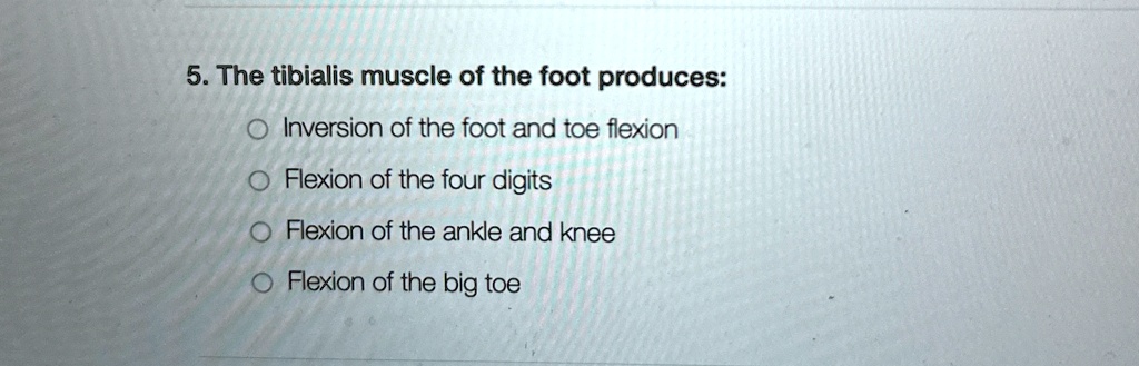 5. The tibialis muscle of the foot produces: Inversion of the foot and ...