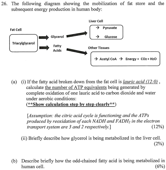 26. The following diagram showing the mobilization of fat store and the ...