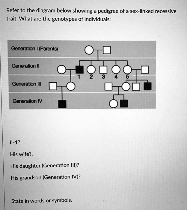 SOLVED: Refer to the diagram below showing a pedigree of a sex-linked ...
