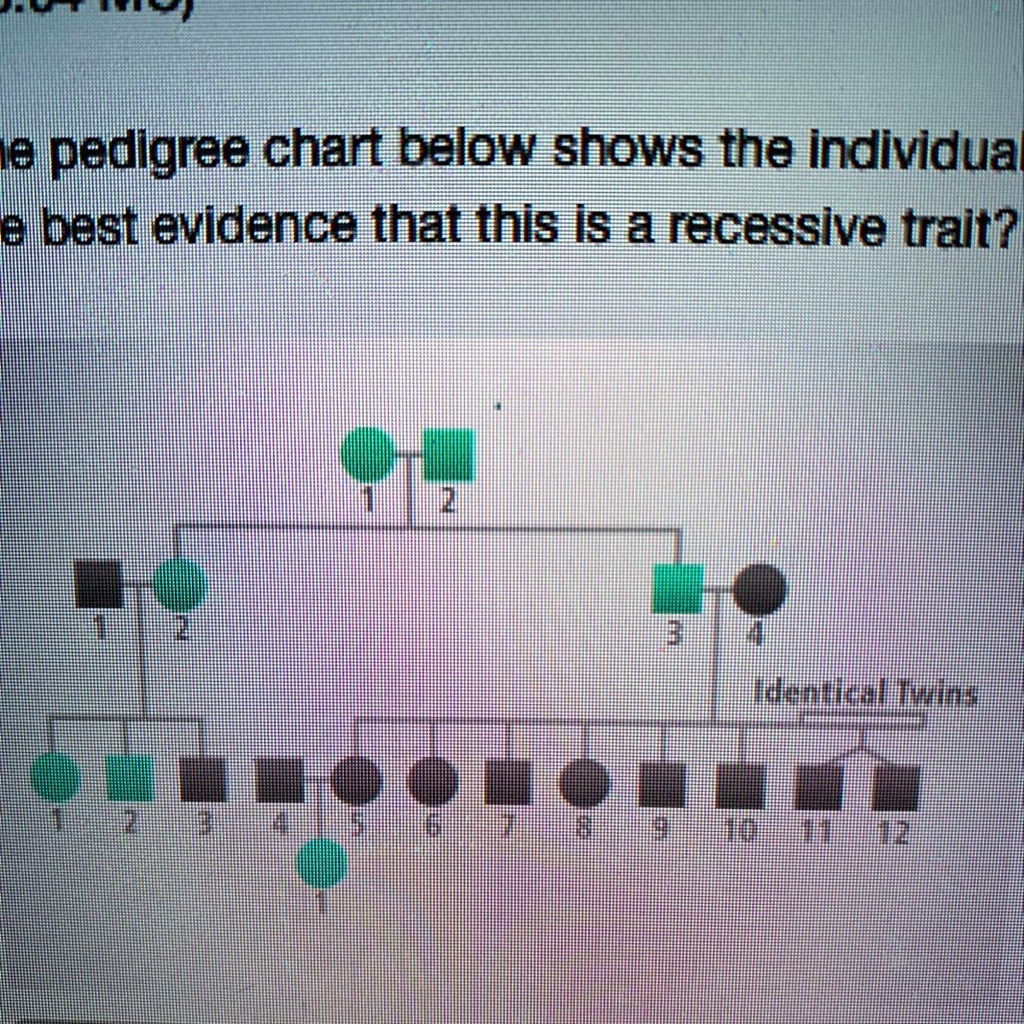 The pedigree chart below shows the individuals. The best evidence that ...