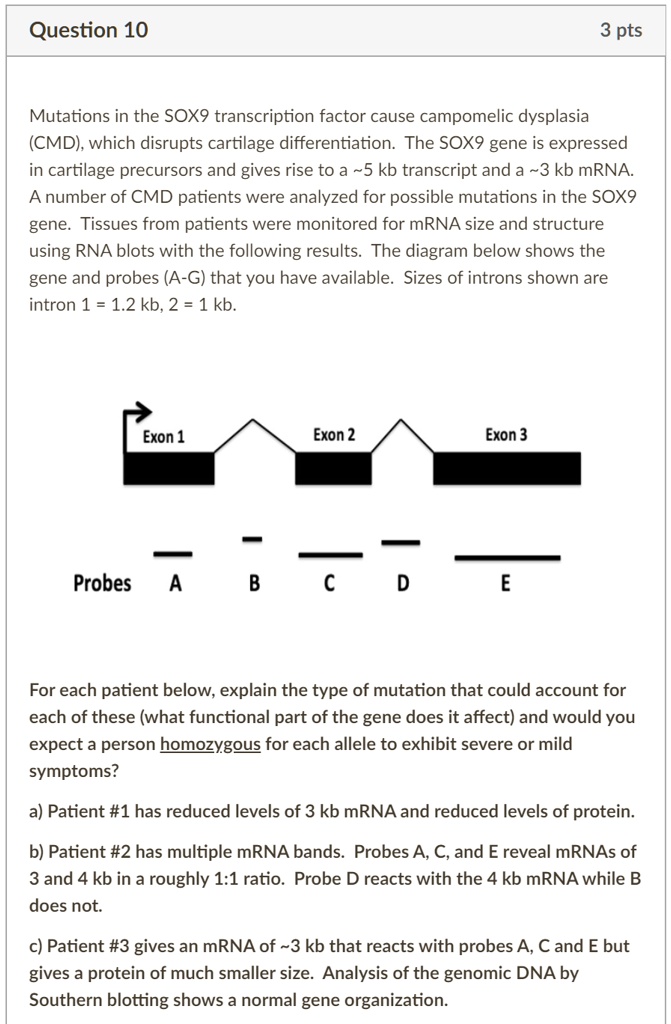 SOLVED: Mutations in the SOX9 transcription factor cause campomelic dysplasia (CMD), which ...
