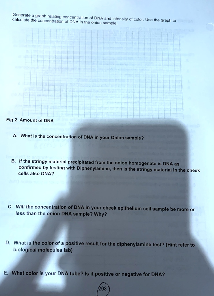 SOLVED:Generate calculate gcoplceelating concentration of DNA and ...