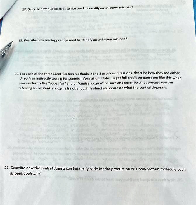 SOLVED: 18. Describe how nucleic acids can be used to identify an ...