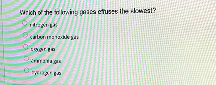 SOLVED: Which of the following gases effuses the slowest? nitrogen gas ... SOLVED: Which of the following gases effuses the slowest? nitrogen gas ...