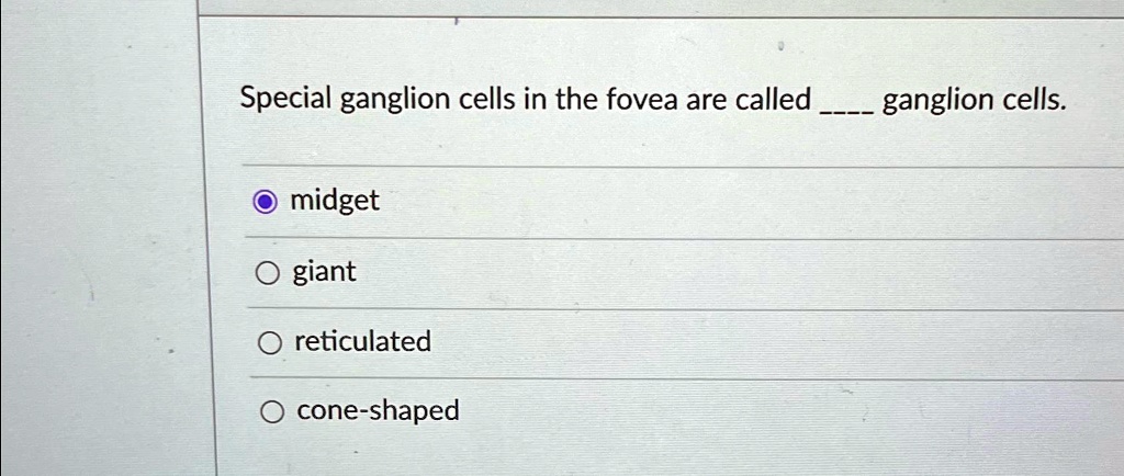 Special ganglion cells in the fovea are called ganglion cells. midget ...