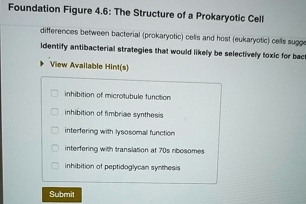 Foundation figure 46 the structure of a prokaryotic cell...
