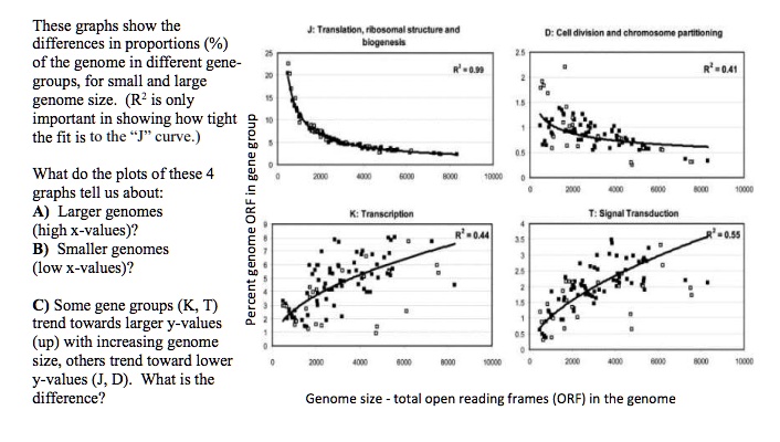 SOLVED: These graphs show the differences in proportions of the genome ...